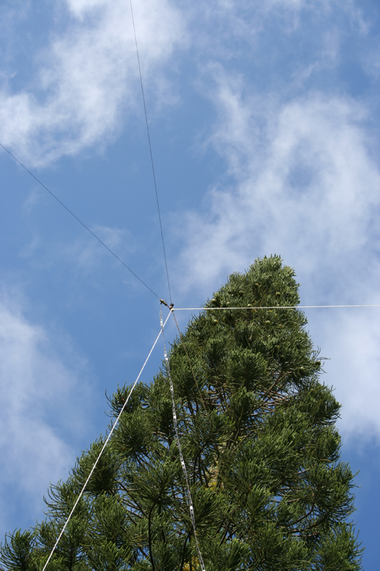 Feed point of the Inverted Vee antenna